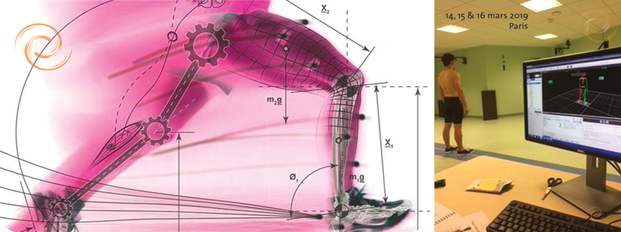 SLIDER_ANALYSE_BIOMECA - Connaissance & Evolution