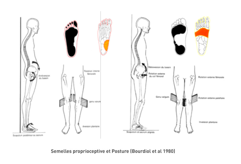 La Posturologie - Connaissance & Evolution