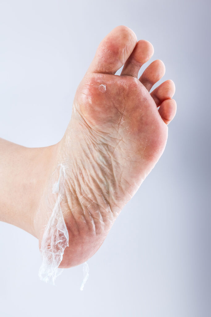 Connaissance & Evolution : Organisme de formation en Posturologie